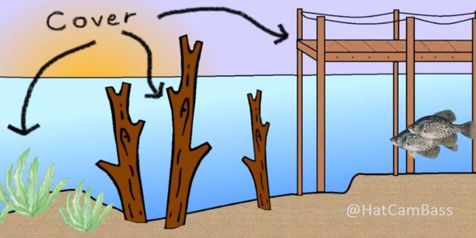 Fishing Cover vs. Fishing Structure - Tailored Tackle