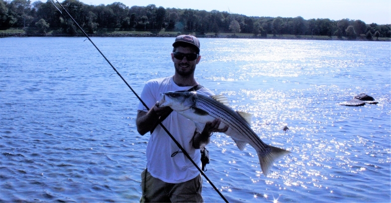 Best lures for striped bass store